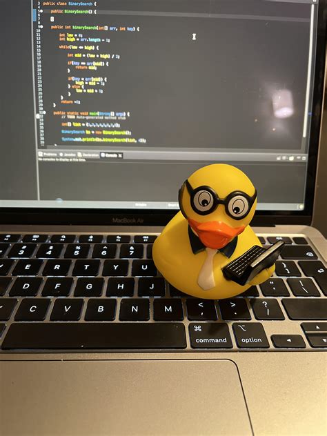 Finally I Can Start Debugging R Programmerhumor