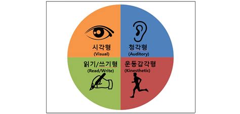 학습과학 새 연재15 퇴치해야 할 교육 속설 2~4호 좌뇌형 우뇌형별 맞춤지도가 효과적 학습 스타일별 맞춤지도가