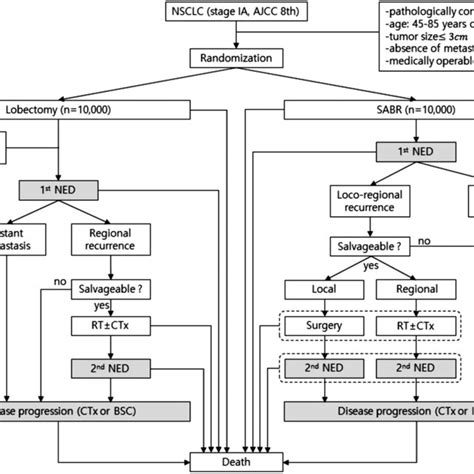 A Scenario For The Markov State Transition Model Of Nsclc Less Than 3