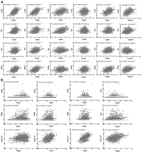 A Cell Surface Tlr And B Intracellular Tlr Expression Correlation