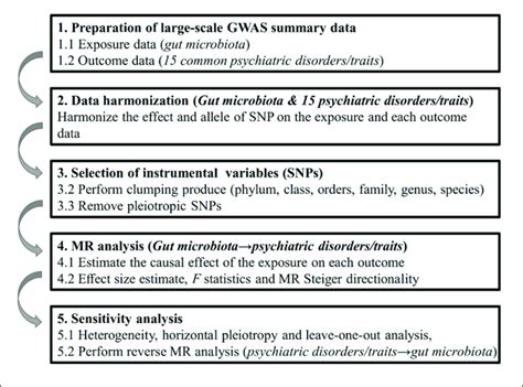 Diagrammatic Description Of The Whole Workflow In Mr Analysis A Download Scientific Diagram