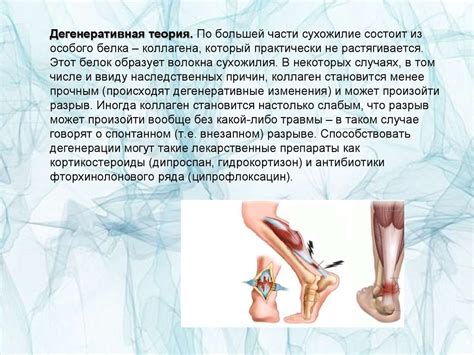 Разрыв ахиллова сухожилия презентация онлайн