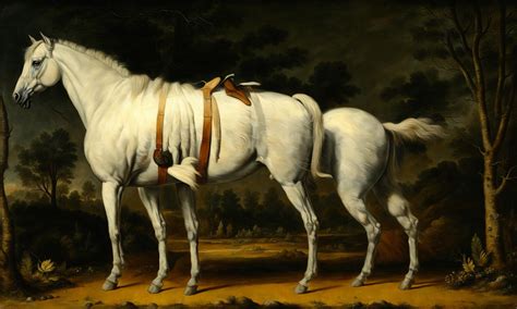 18th Century Oil Painting A Reverse Centaurs Enigmatic Gaze
