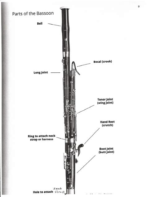 Bassoon Assembly And Disassembly Pdf Bassoon Woodwind Instruments
