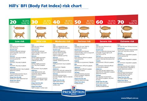 How To Help Your Pet Lose Weight Doncaster Vet
