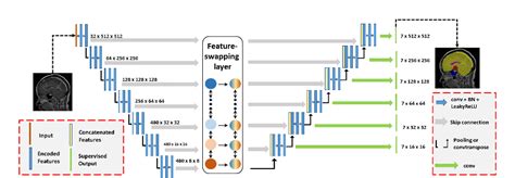 Figure From Deep Learning Based Automatic Segmentation And