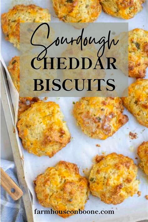Easy Sourdough Cheddar Biscuits Recipe Homemade Sourdough Bread