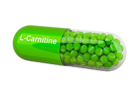 Exploring The Cost Effective Benefits Of Creatine Monohydrate Factnwit