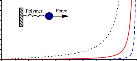 The Three Curves Illustrate The Force Extension Relationship Of The Download Scientific Diagram