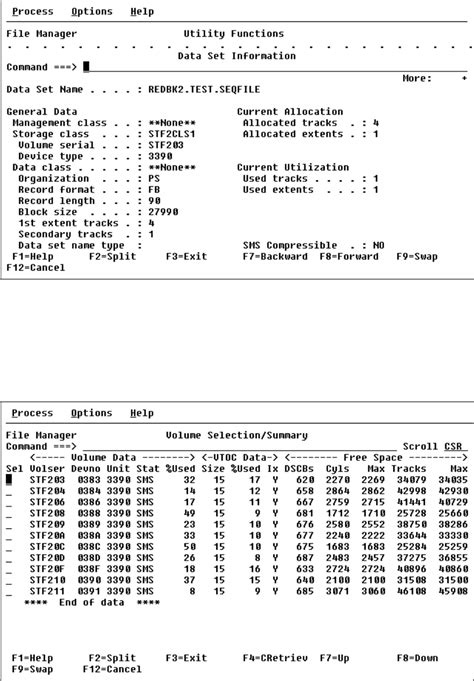 Qsam Allocation Using A Model Using Ibm Application Development Tools