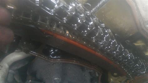How To Fix Broken Timing Chain At Beth Anker Blog