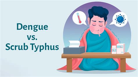 Scrub Typhus Vs Dengue How To Differentiate Between The Two
