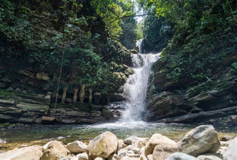 Un jardín donde la naturaleza y el arte conviven en armonía Maleta de viajes