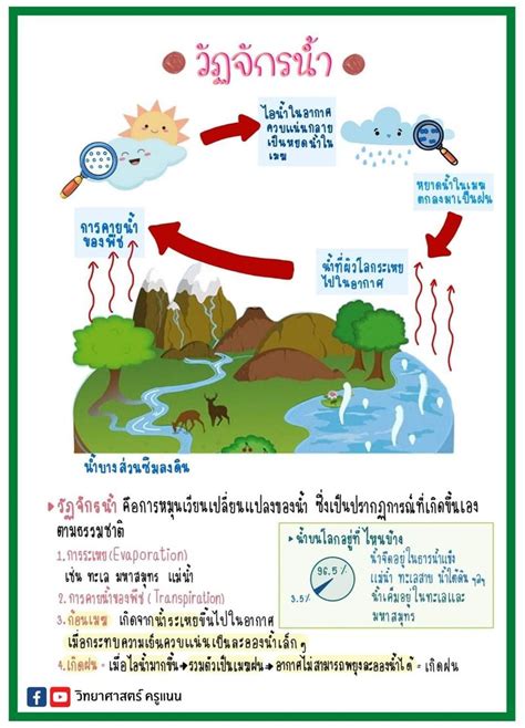 สาระวิทย์ วัฐจักรของน้ำ🌊 การหมุนเวียนของน้ำ ซึ่งเป็น ปรากฎการณ์ที่