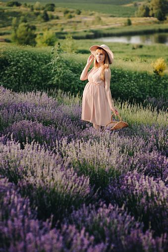 베이지 색 드레스와 밀짚 모자에 임신 한 소녀 금발 라벤더 필드 아이의 기대에 사진 촬영의 아이디어 일몰에 걸어 미래의 엄마 꽃 바구니입니다 가루로 빻은에 대한 스톡 사진