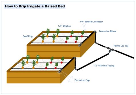 Drip Irrigation System Diagram