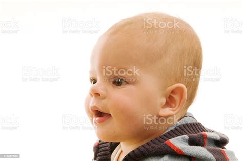 1년 늙음 남자아이 12 23 개월에 대한 스톡 사진 및 기타 이미지 12 23 개월 남성 사람들 Istock