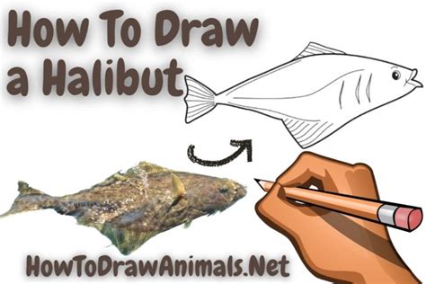 How To Draw A Lynx Fun And Easy Drawing Tutorial