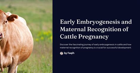 Early Embryogenesis And Maternal Recognition Of Cattle Pregnancy