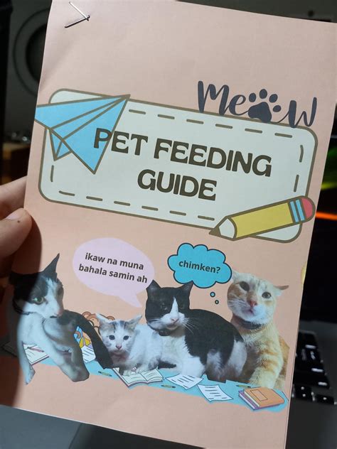 Magcacatsitter Ang Pamangkin Ko Sa Mga Cats Namin Next Week Kaya