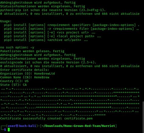 Shellcode Loader Harriet Pentestitde