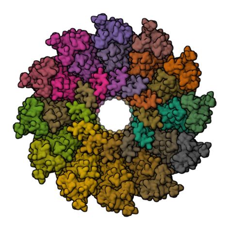 Rcsb Pdb 8php Portal From The Borrelia Bacteriophage Bb1 Procapsid