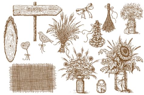Rustic Design Elements Custom Designed Illustrations ~ Creative Market