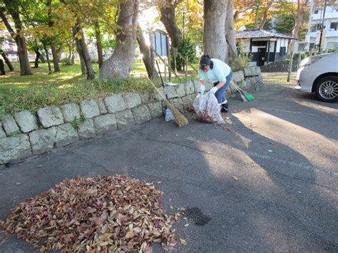 コスモス 社会福祉法人 能代ふくし会