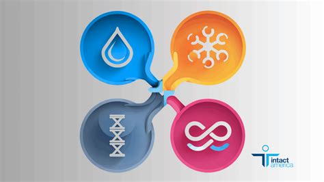 The Hidden Impact Of Circumcision On Dating Sex And Intimacy