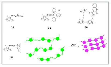 Atp Fluorescent Probes 33 36 Based On Water Soluble Conjugated Polymers