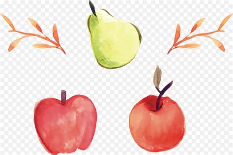 矢量 手绘 苹果 梨png图片素材下载图片编号ykkgnmay 免抠素材网