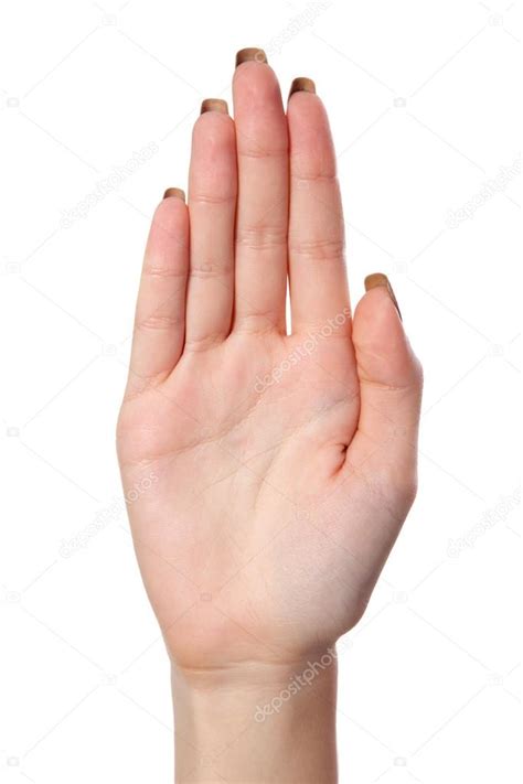 Female Palm Hand Gesture Stock Photo Bloodua 41863425