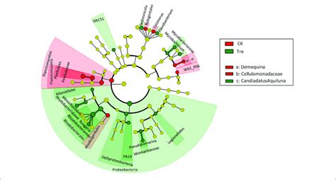 Least Discriminant Analysis Lda Effect Size Taxonomic Cladogram