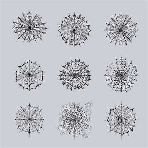Premium Vector Cobwebs Illustration Artwork