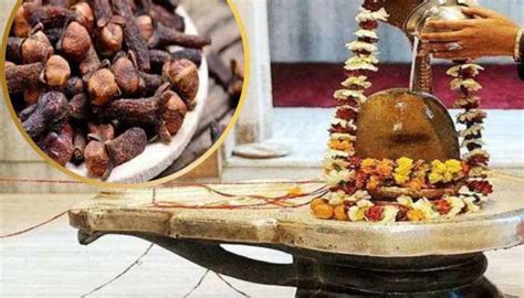Mahashivratri 2025 शिवलिंगावर लवंग का अर्पण केलं जातं काय आहे यामागचं