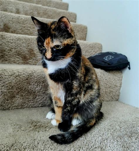 Manipulative Underspecification Album On Imgur