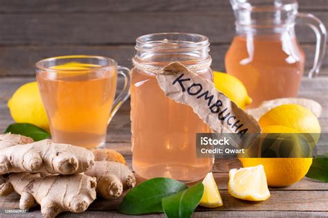 유리 병과 유리에 상쾌한 여과 콤부차 차 나무 배경에 라벨 이쓰여지는 콤부차 Kombucha에 대한 스톡 사진 및 기타 이미지 Kombucha 건강한 식생활 계절