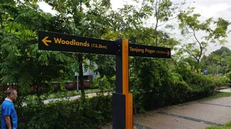 Best Lake Trails In Bukit Timah Nature Reserve Alltrails