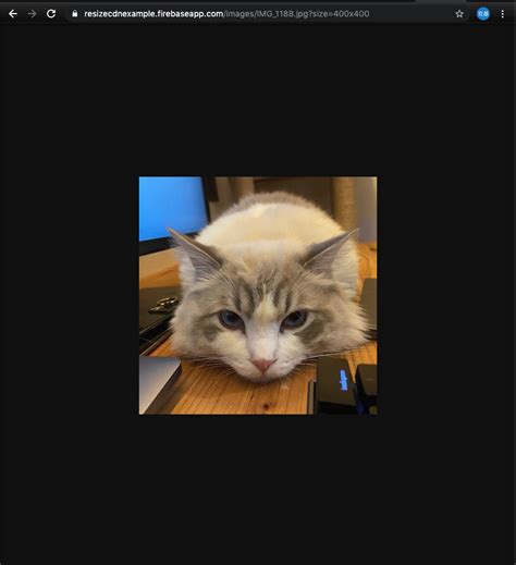 Github Y Ssh Firebaseresizecdn Build Cdn With Image Resizing Using Firebase Firebasehosting