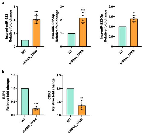 Ijms Free Full Text Integrative Bioinformatics Analysis Reveals A