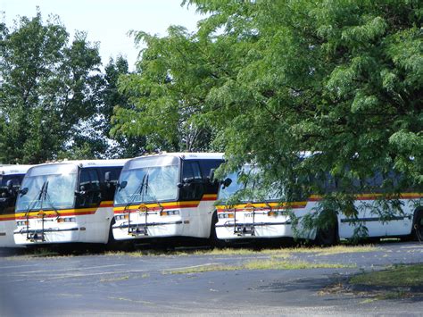 GREATER DAYTON RTA SHOWBUS INTERNATIONAL BUS IMAGE GALLERY USA