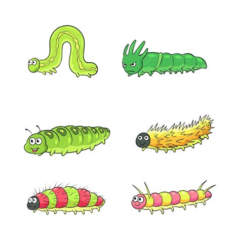귀여운 애벌레 벡터 일러스트 1 프리미엄 벡터