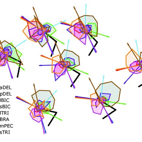 Spatial Selectivity Of Activation And Directions Of Action Of The Arm