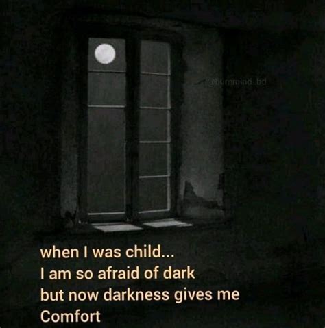 ჩანაწერები