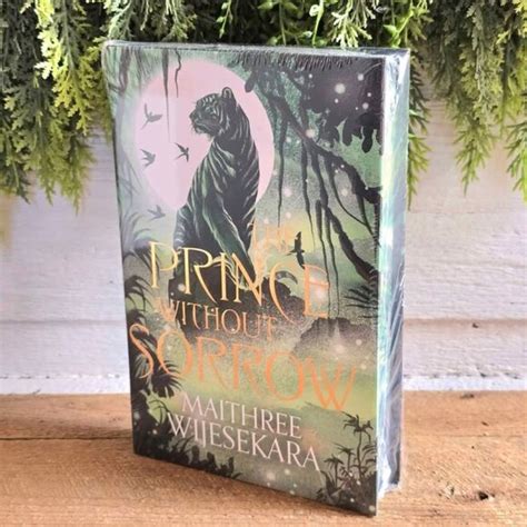 Accents The Prince Without Sorrow Maithree Wijesekara Hardcover Sprayed Edge Llumicrate Poshmark