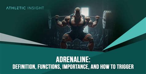 Adrenaline Definition Functions Importance And How To Trigger