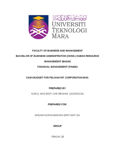 Assignment 2 Cash Budget Nurul Anis Bt Che Ibrahim 2022883224