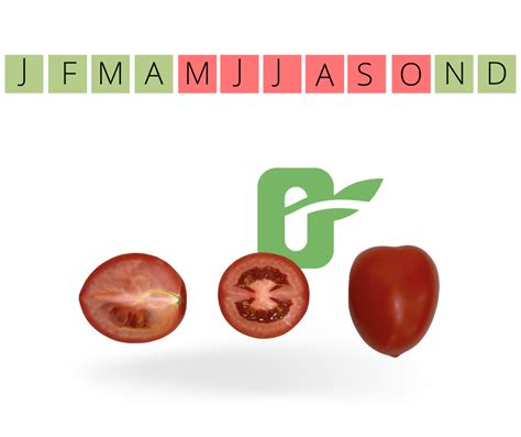Tomate Pera BIO Ecoinver Exportación de Hortalizas
