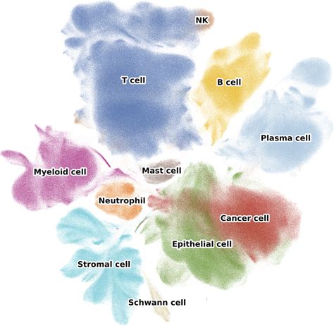 The Single Cell Colorectal Cancer Atlas