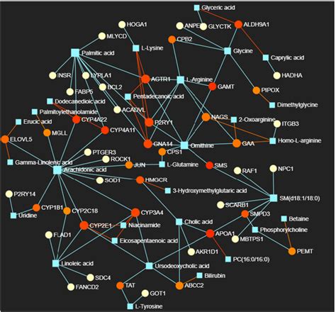 Gene Metabolite Subnetwork 1 From Metaboanalyst Network Exploration